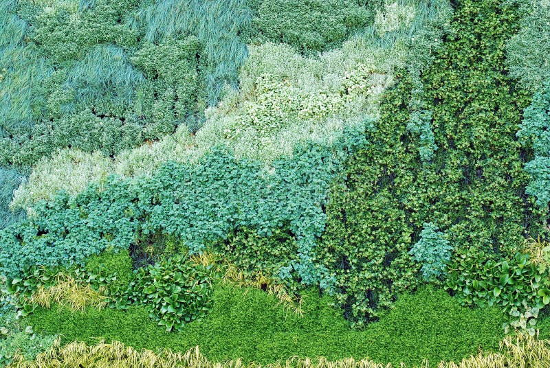 Plants Making Design Background Stock Image - Image of plants, closeup ...