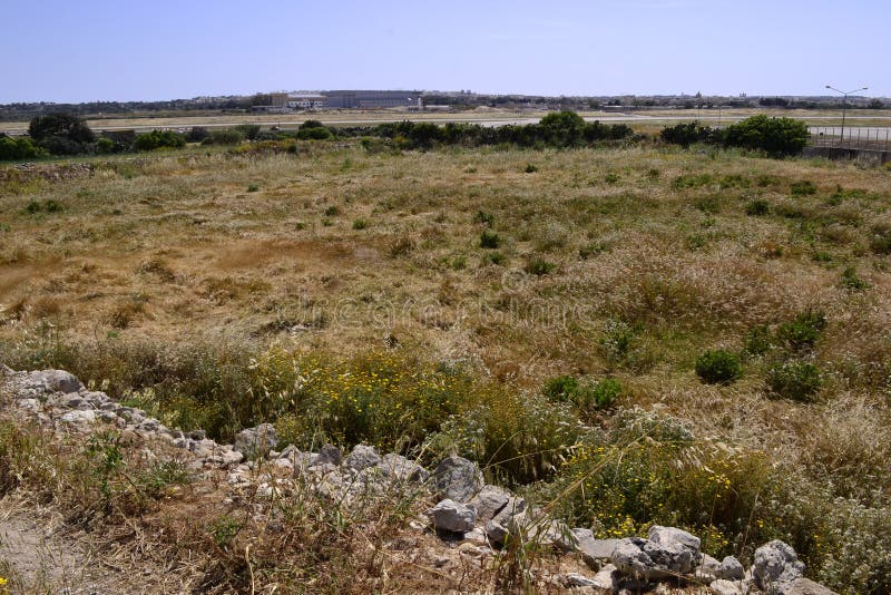 Plants of Malta stock image. Image of malta, desert, sunburned - 56126927