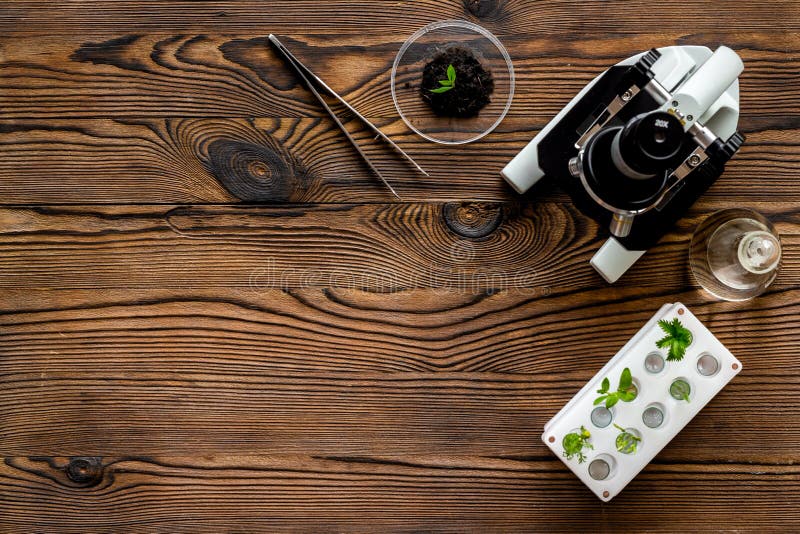 Scientific Research Plants and Soil in Microbiology Laboratory with ...