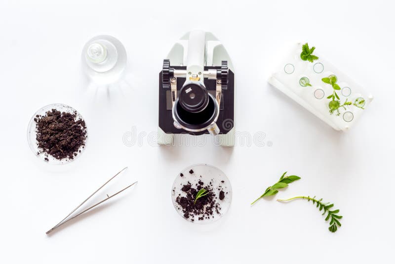 Plants with Microscope in Scientific Laboratory. Top View Stock Photo ...