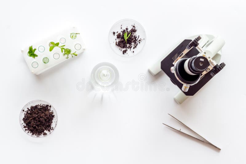 Plants with Microscope in Scientific Laboratory. Top View Stock Photo ...