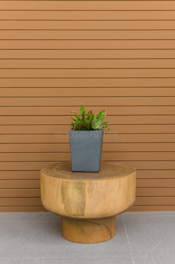 Plants in Modern Grey Pot on Round Wood Table Stock Photo - Image of ...