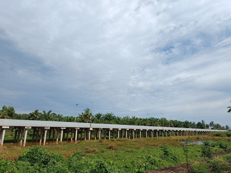Plants in My Life in the Beautiful World so Happy Stock Photo - Image ...