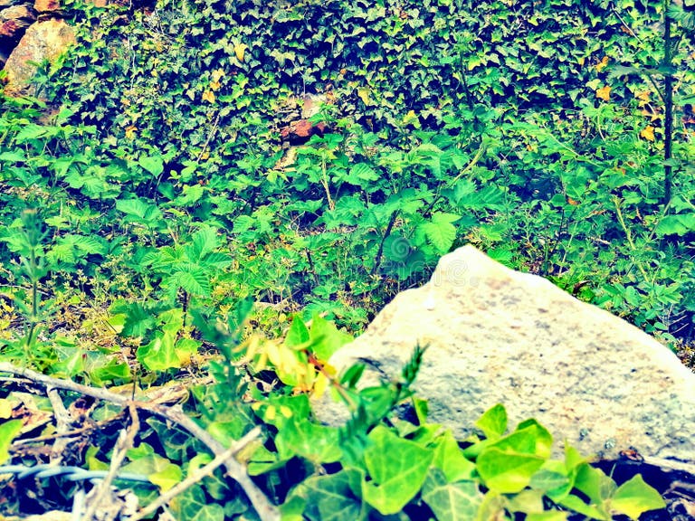 Roock Moutain Stock Photos - Free & Royalty-Free Stock Photos from ...