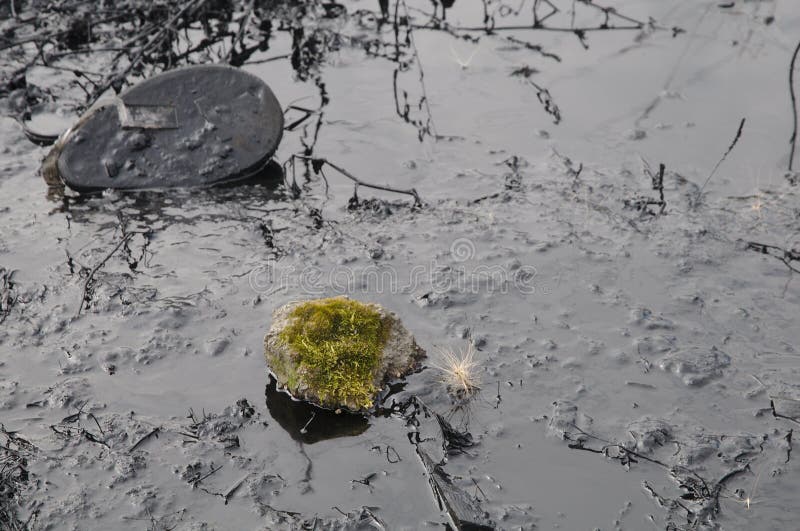 Plants in oil pollution stock image. Image of industrial - 52220113