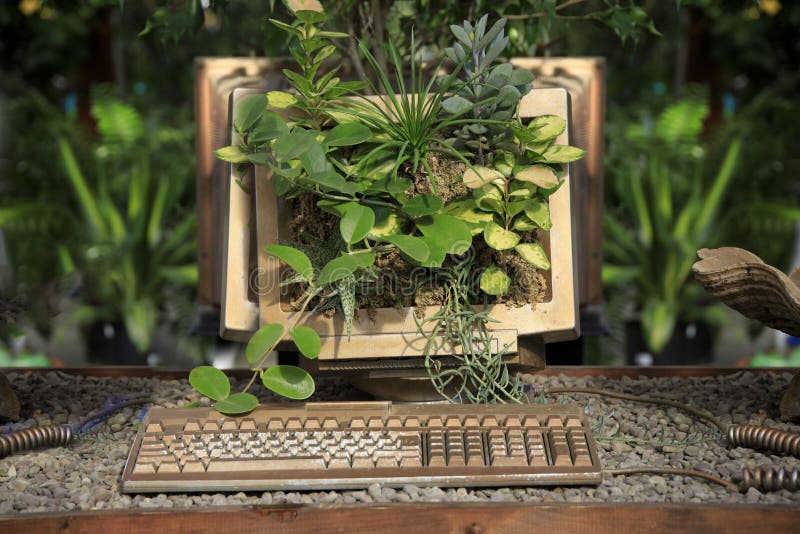 Plants Overgrowing an Old Computer Stock Photo - Image of garden ...