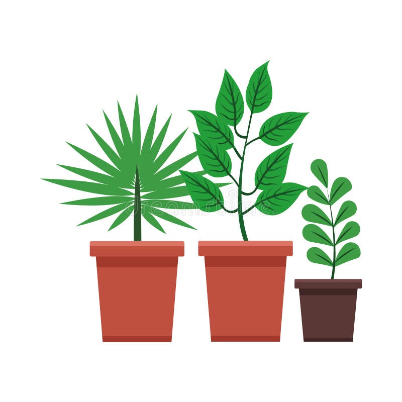 Plants pot cartoon stock vector. Illustration of botanical - 138674936