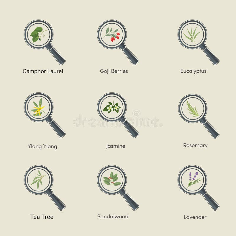 Plants research icons. stock vector. Illustration of agricultural ...