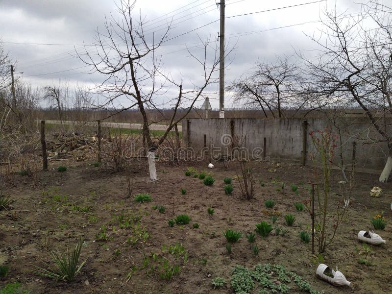 Plants in Rural Garden at Spring Stock Image - Image of clouds, farming ...