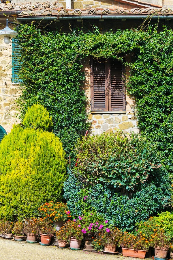 Plants in a Rustic Courtyard Stock Image - Image of courtyard, toscana ...