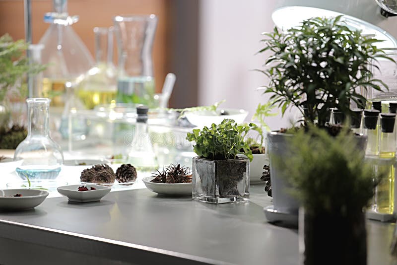 Plants Sample for Experiment Stock Photo - Image of magnifier ...