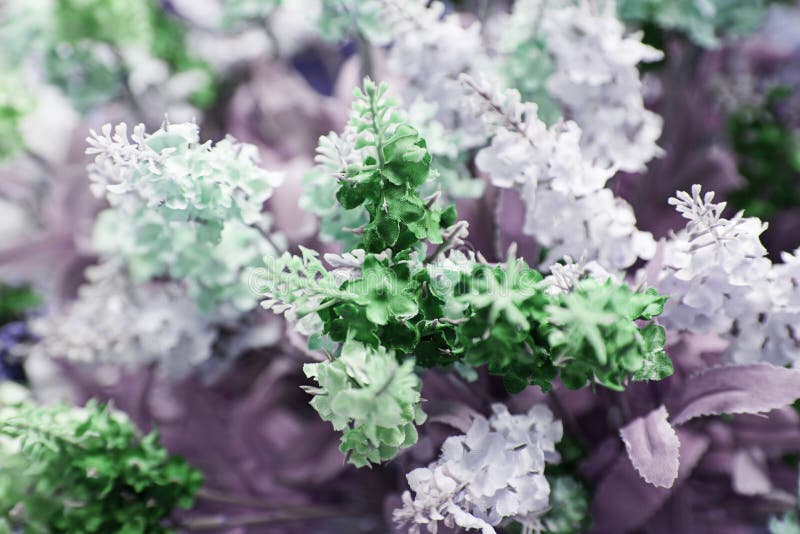 Plants stained purple stock photo. Image of closeup, detail - 84771720