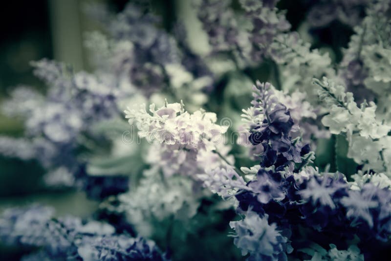 Plants stained purple stock image. Image of pink, petal - 84772275