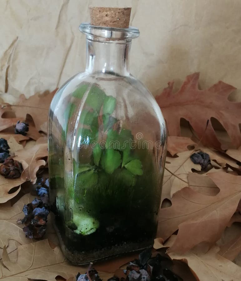 Bottle ecosystem stock image. Image of bottle, maintainance - 113508451