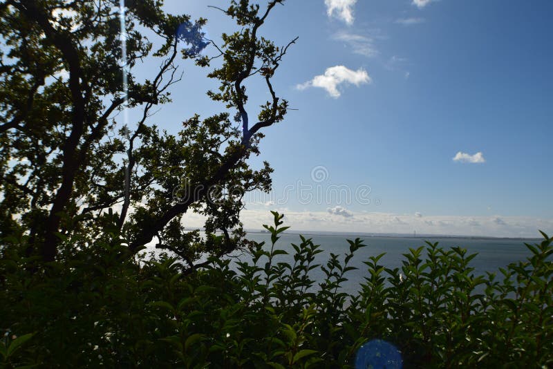 Plants, Trees, Seaside and Sky Stock Photo - Image of landscape, nature ...