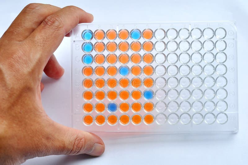 Plaque de 96 puits image stock. Image du plaque, biotechnologie - 21066497