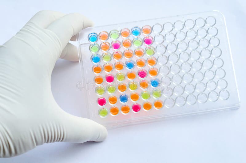 Plaque de 96 puits image stock. Image du chimie, laboratoire - 21066629