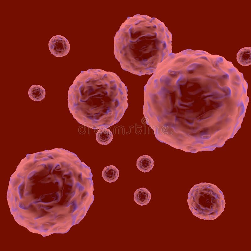 Anatomy Of A Plasma Cell, Or B Cell, Or Plasmocyte. Stock Vector ...