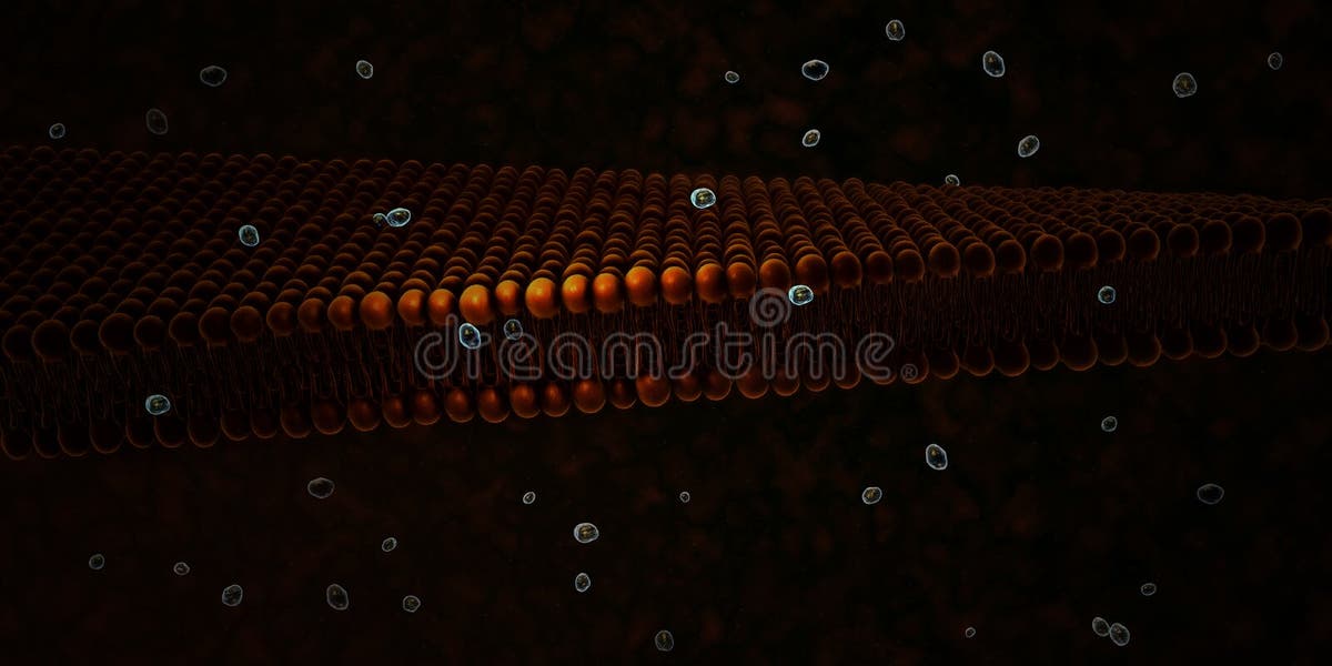 Plasma Cell Stock Illustrations – 12,080 Plasma Cell Stock ...