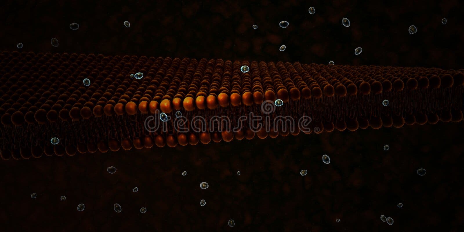 Granulocyte Colony-stimulating Factor (GCSF, Filgrastim) Molecule. Used ...