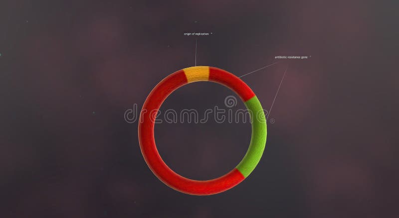 The Plasmid Contains a Self-replicating DNA Separate from the ...