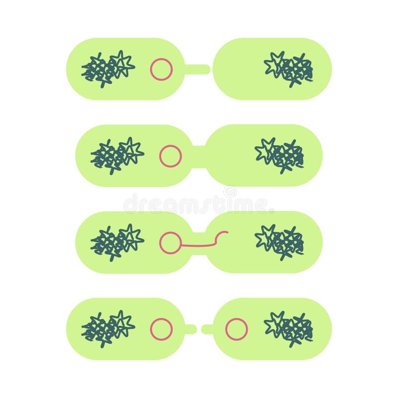Plasmide in bacteriële cel vector illustratie. Illustration of ...