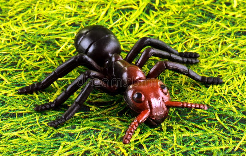 Plast- myra fotografering för bildbyråer. Bild av angus - 32627669