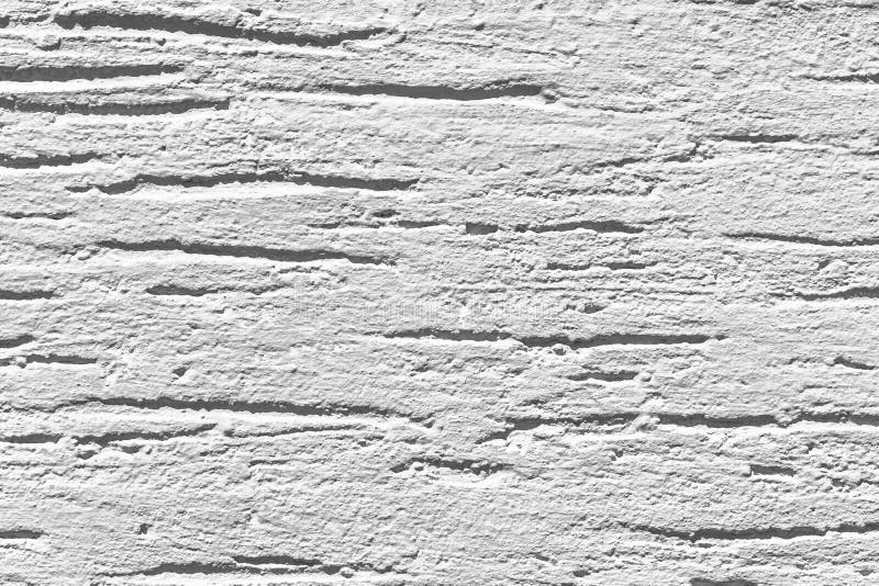 Plaster Bark Beetle White Pattern Abstract Wall Texture Stucco ...