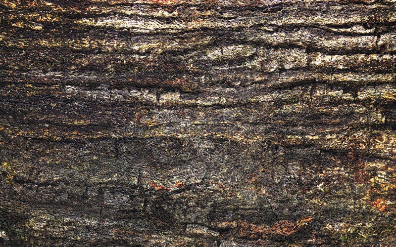 Plaster Cement Background Texture. Oak Bark Background Texture. Wooden ...