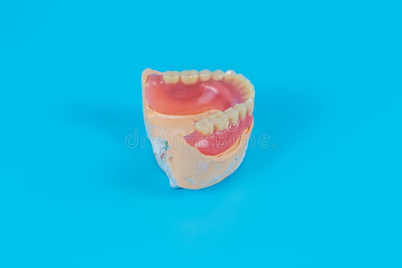 Artificial Jaw, Visual Aid for Dentists and Patients on a Blue ...