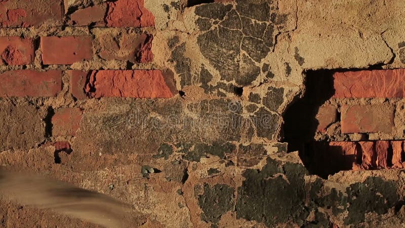 Bricks falling animation stock video. Video of matte - 203688663