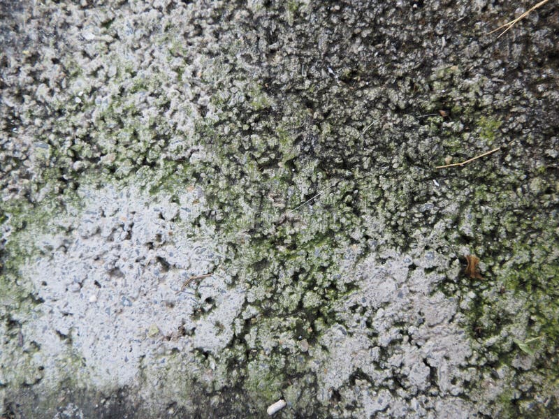 Plaster Texture with Moss Growing for Patterns and Backgrounds Stock ...