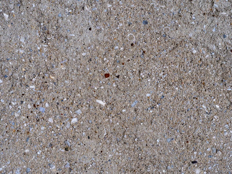Plastered Surface. Stucco with Small Shells and Pebbles Stock Photo ...