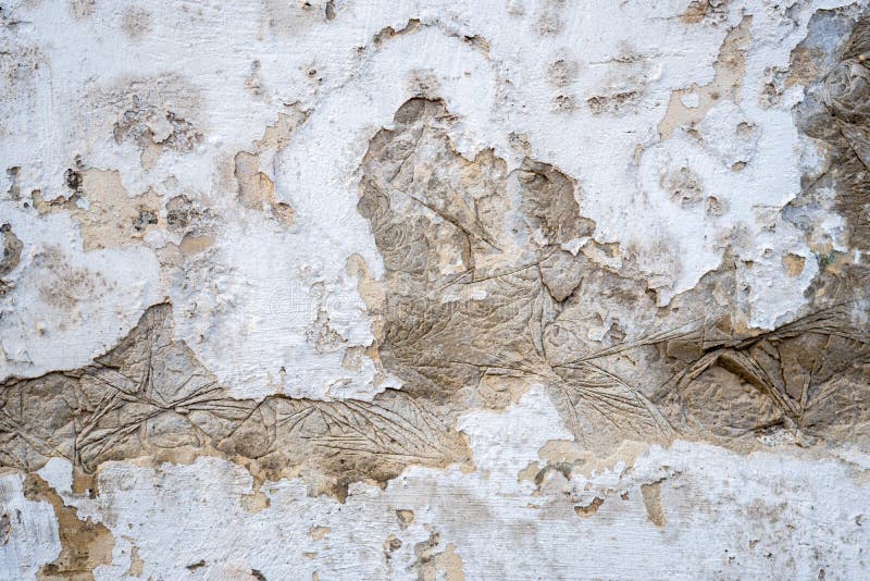 Plasters texture cracked. stock photo. Image of detail - 146109020