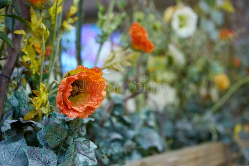 Plastic Artificial Flower As Part of the Interior Decoration in the ...