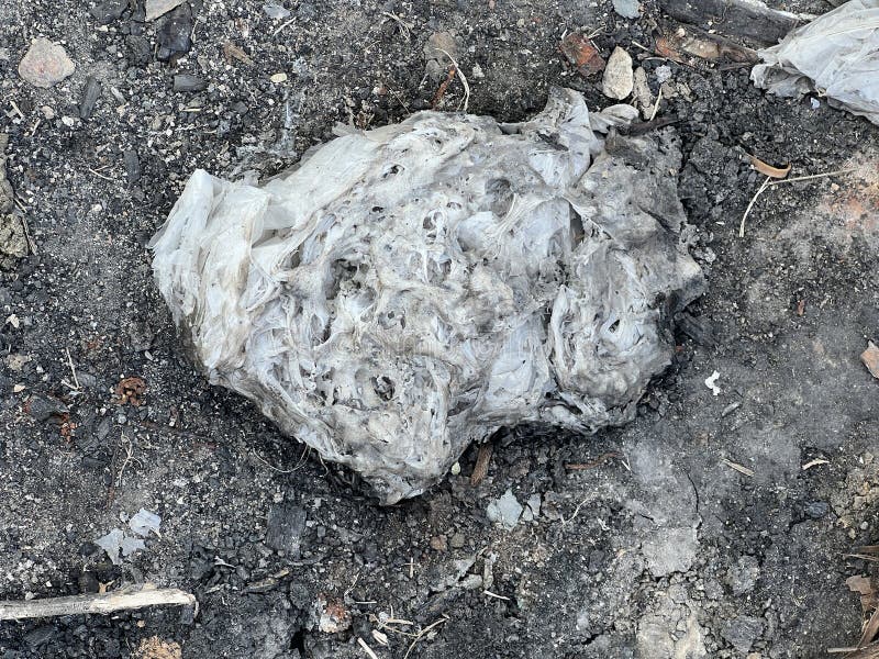 Plastic Bag after Burning on the Ground Stock Image - Image of material ...