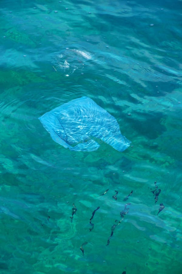 3,726 Plastic Pollution Ocean Floating Stock Photos - Free & Royalty ...