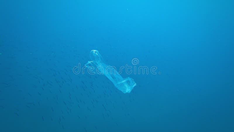 Plastic Bag Floating in the Ocean, a Bag in the Water. Underwater ...
