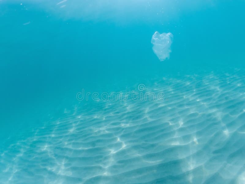 Plastic Bag Floating in the Ocean, Underwater Waste. Ocean Pollution ...