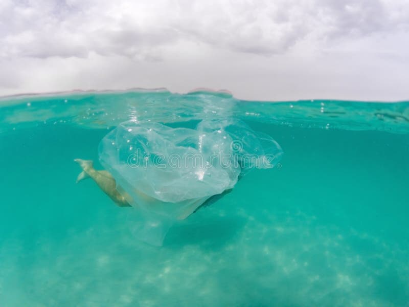 Plastic Bag Floating in the Ocean, Underwater Waste. Ocean Pollution ...