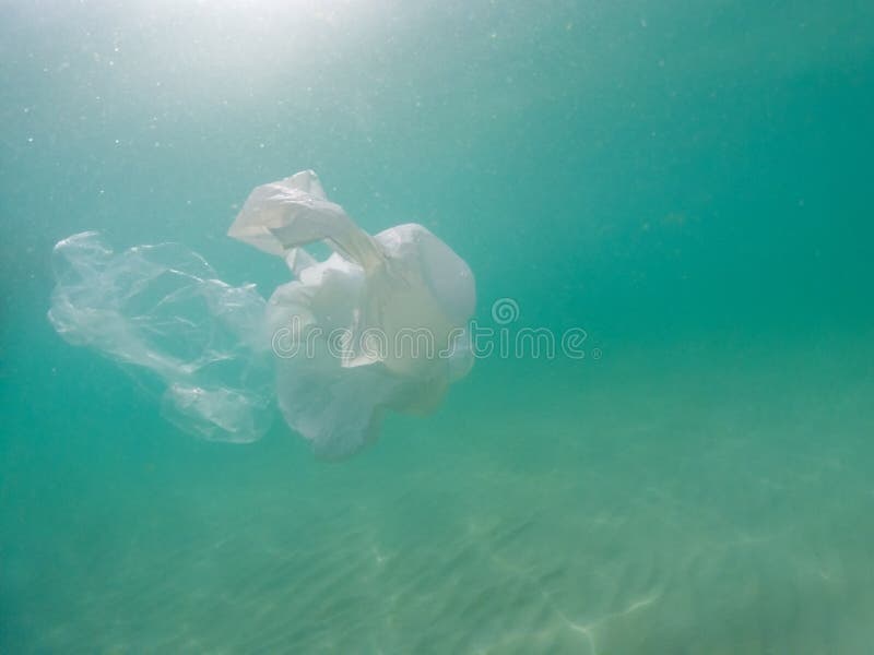 Plastic Bag Floating in the Ocean, Underwater Waste. Ocean Pollution ...