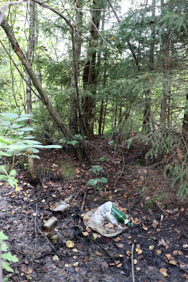 Littering in the Forest - a Plastic Bag on the Ground Stock Image ...