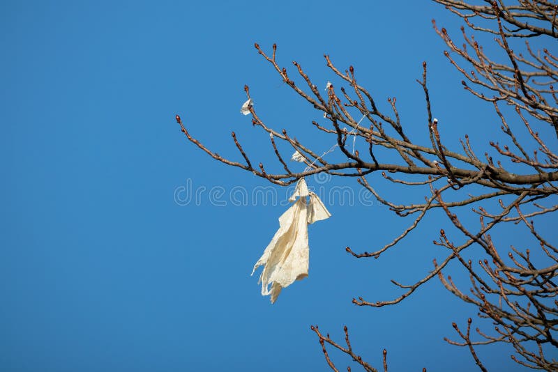 A Plastic Bag Hung from the Branches of a Tree. Environmental Pollution ...