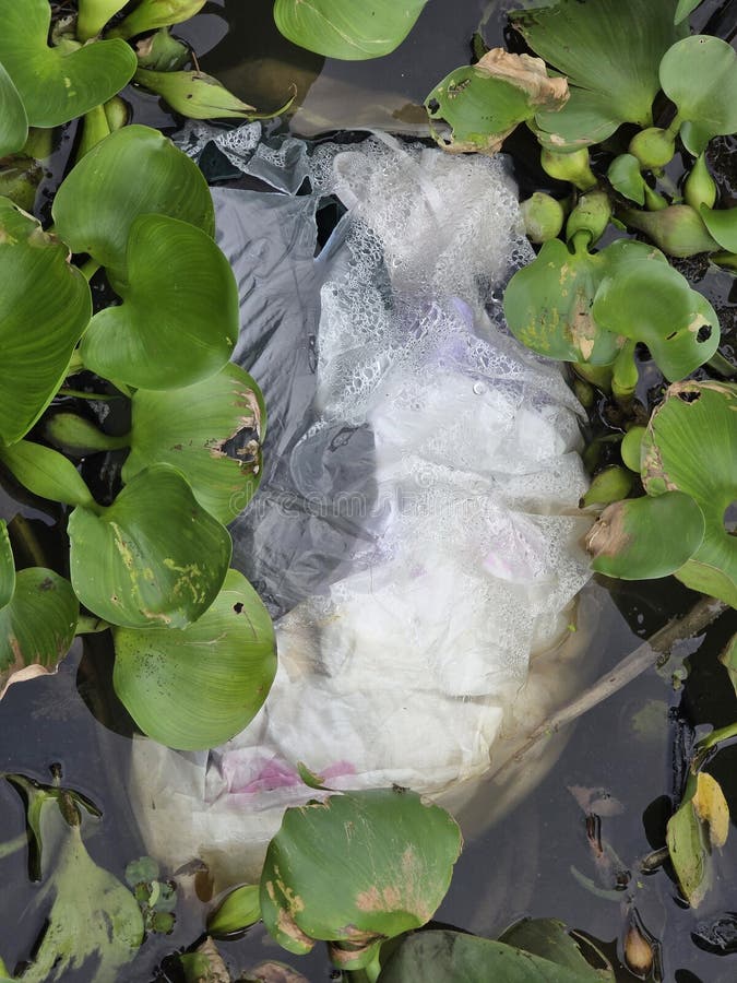 Plastic Bag and Junk on the River Stock Photo - Image of green, white ...