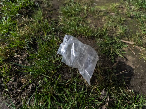 A Plastic Bag Laying on the Ground in the Grass Stock Photo - Image of ...