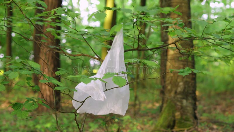 Forest Pollution: Focus on Plastic and Glass Waste Stock Video - Video ...