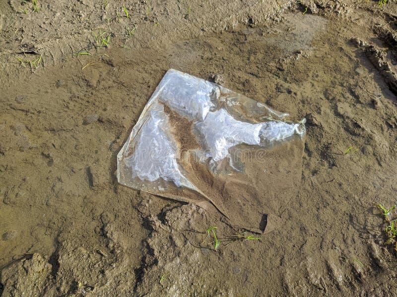 Plastic Bag in a Mud Puddle during the Day. Stock Photo - Image of ...