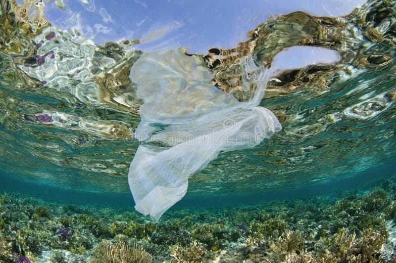 Plastic Bag in Ocean on Coral Reef Stock Image - Image of underwater ...
