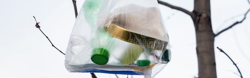 RUBBISH or TREE TRASH in FOREST Stock Image - Image of trash, nature ...