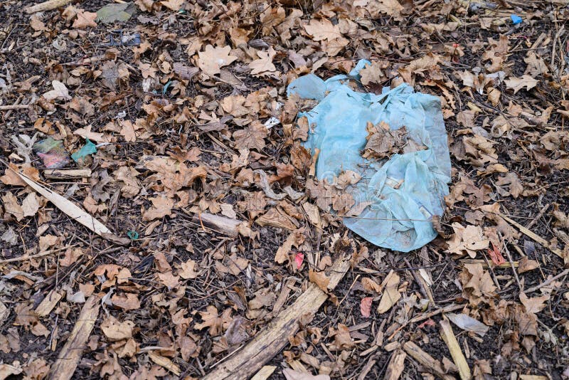 The Plastic Bag is in the Woods Stock Photo - Image of forest, cleaner ...